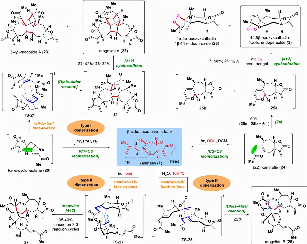 Biomimetic organic synthesis of natural products - iNEWS