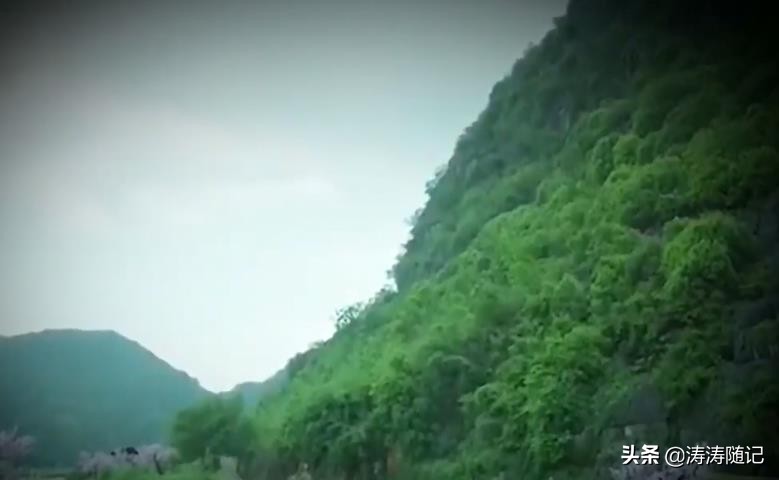 If the ancient god tree-Jianmu really existed, it would be more ...