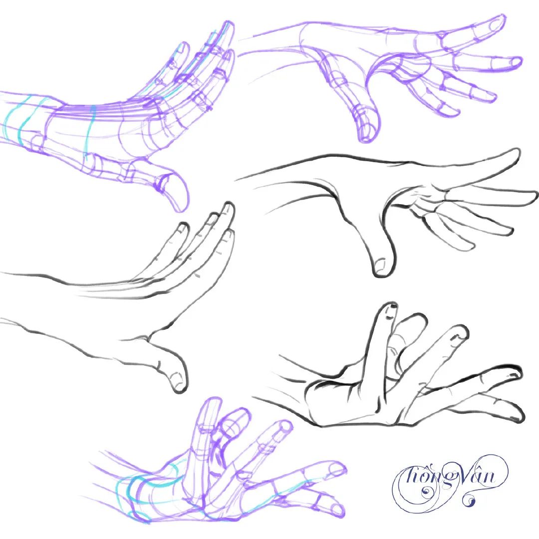 "Painting Reference" Human hand drawing reference shared by painter ...