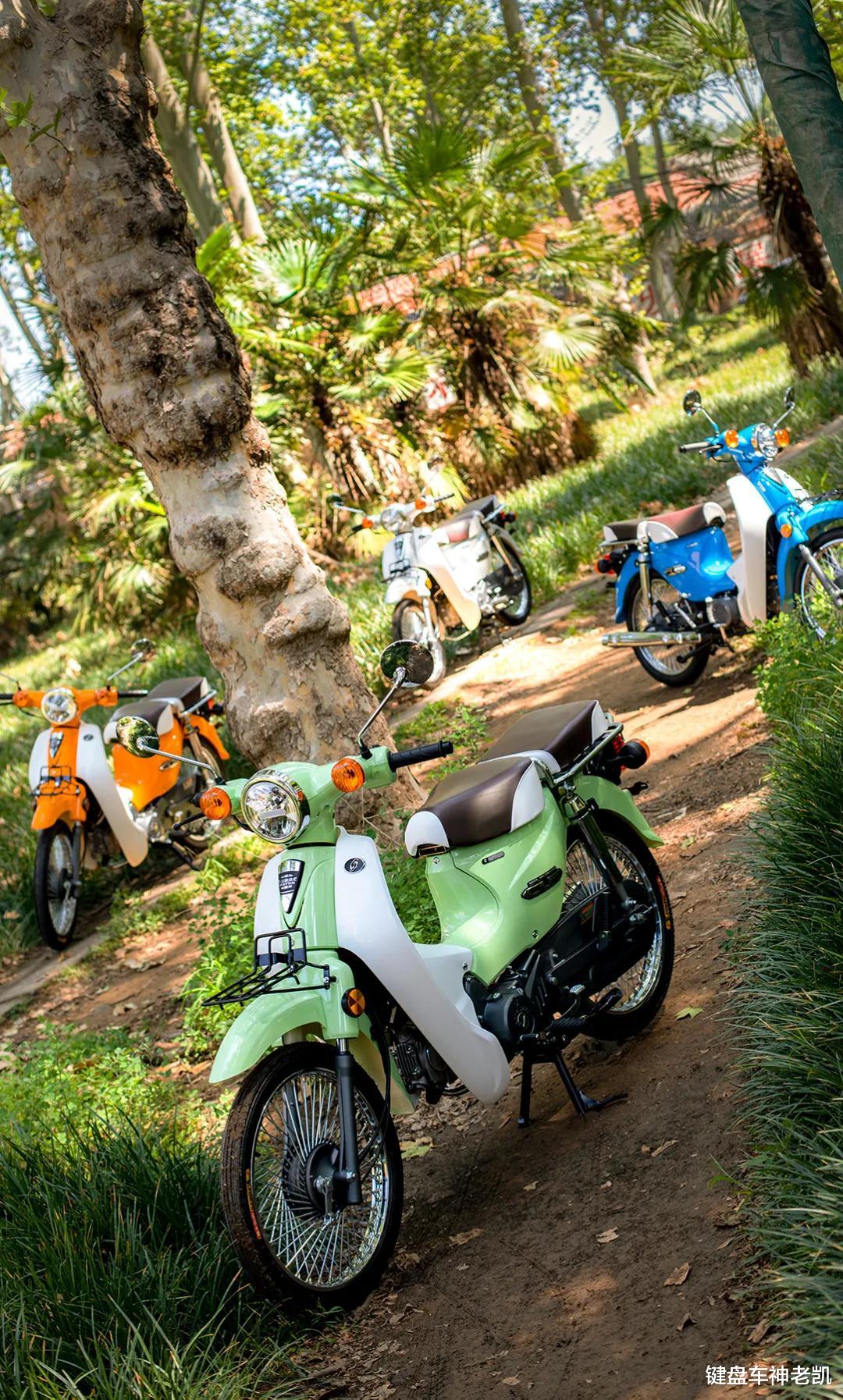 The new rivals of Jialing COCO and Zongshen YAMI, Luojia retro curved ...