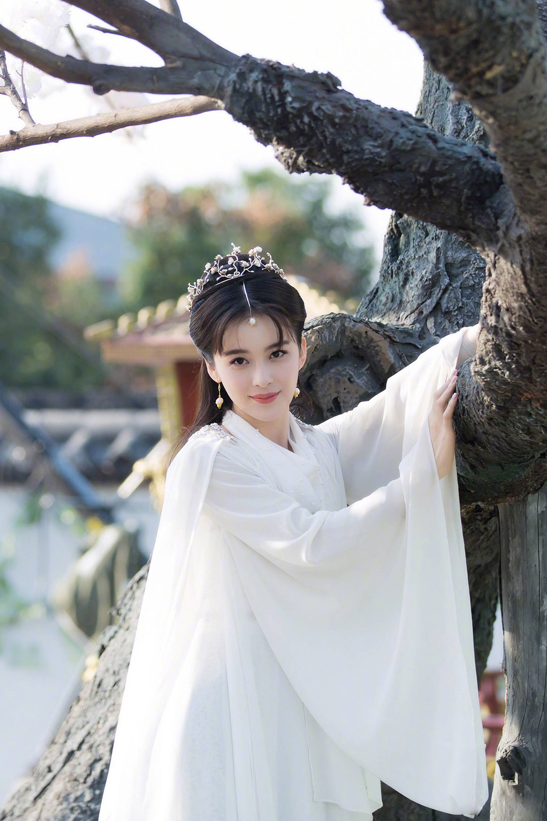 "Beauty Series"-Zhao Yingzi "Part One" - iNEWS