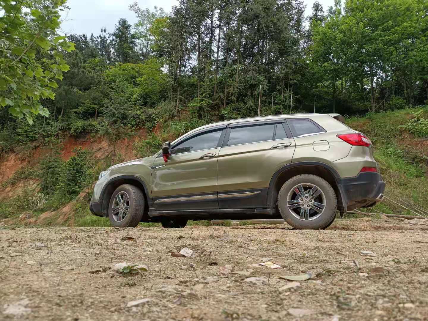 In the countryside, look at the exquisite quality of Amber Gold CS75 ...