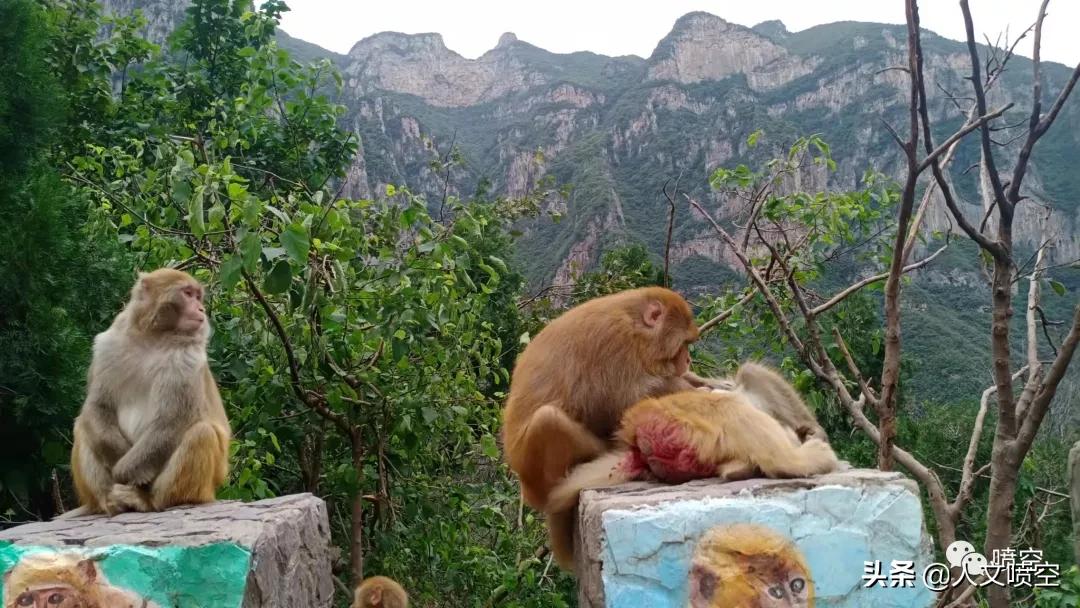 Puffing║Taihang Hanoi, Xiguo Ancient City - iNEWS