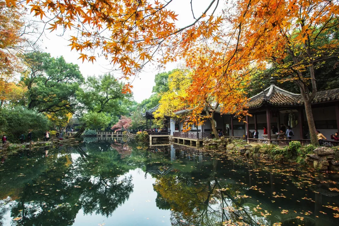 In autumn, Suzhou becomes Gusu - iNEWS