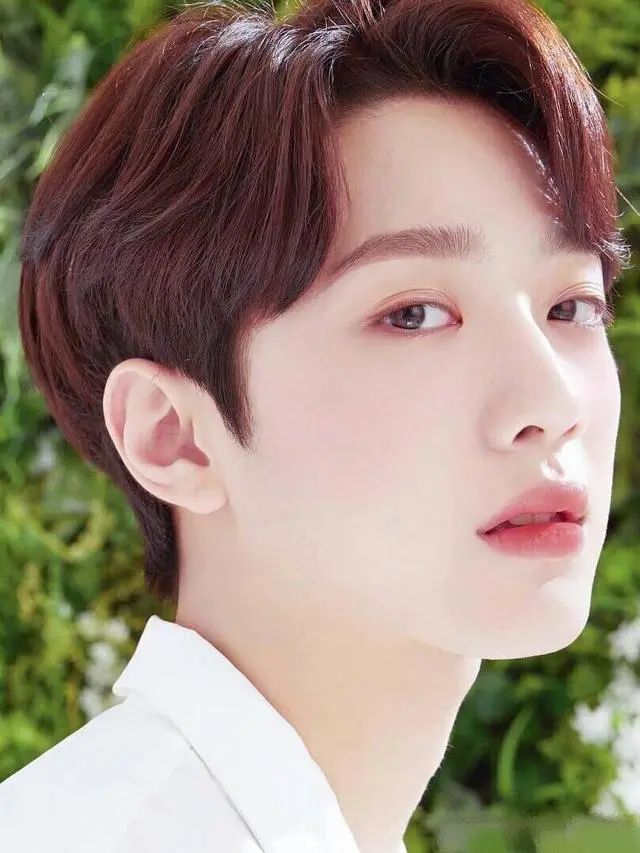 Faye Wong Nicholas Tse, Sister Fan Bingbing, Bai Lu Liu Shishi, Wang Junkai, Lai Guanlin - iNEWS