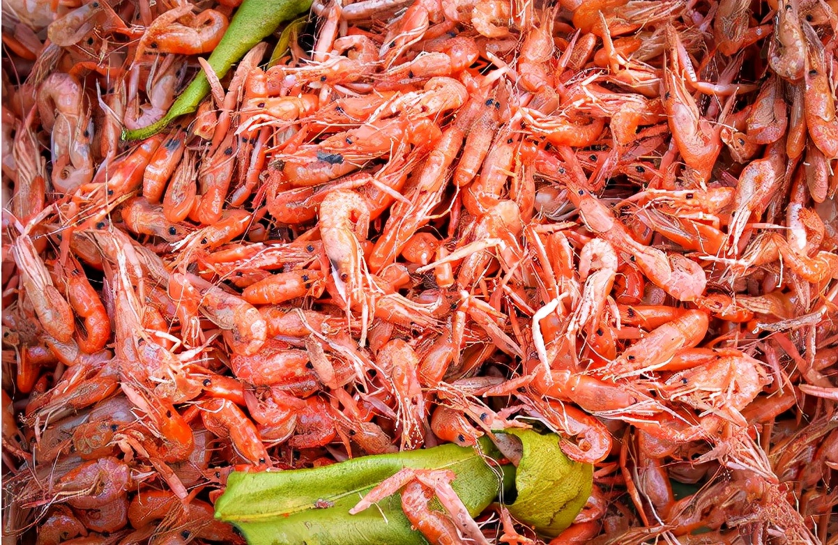 What does the sea smell like?It's all in a bowl of shrimp paste from ...