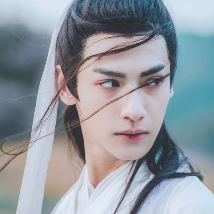 Luo Yunxi and Chen Feiyu's new play "Hao Yi Xing" is set, and the two beautiful men are ...