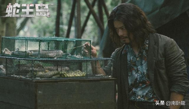 "Snake King Island" is released, the giant python is now in disaster ...