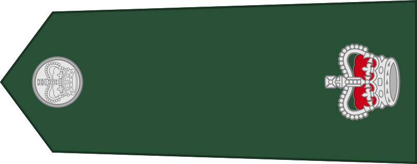 Military rank identification of each country: Barbados - iNEWS