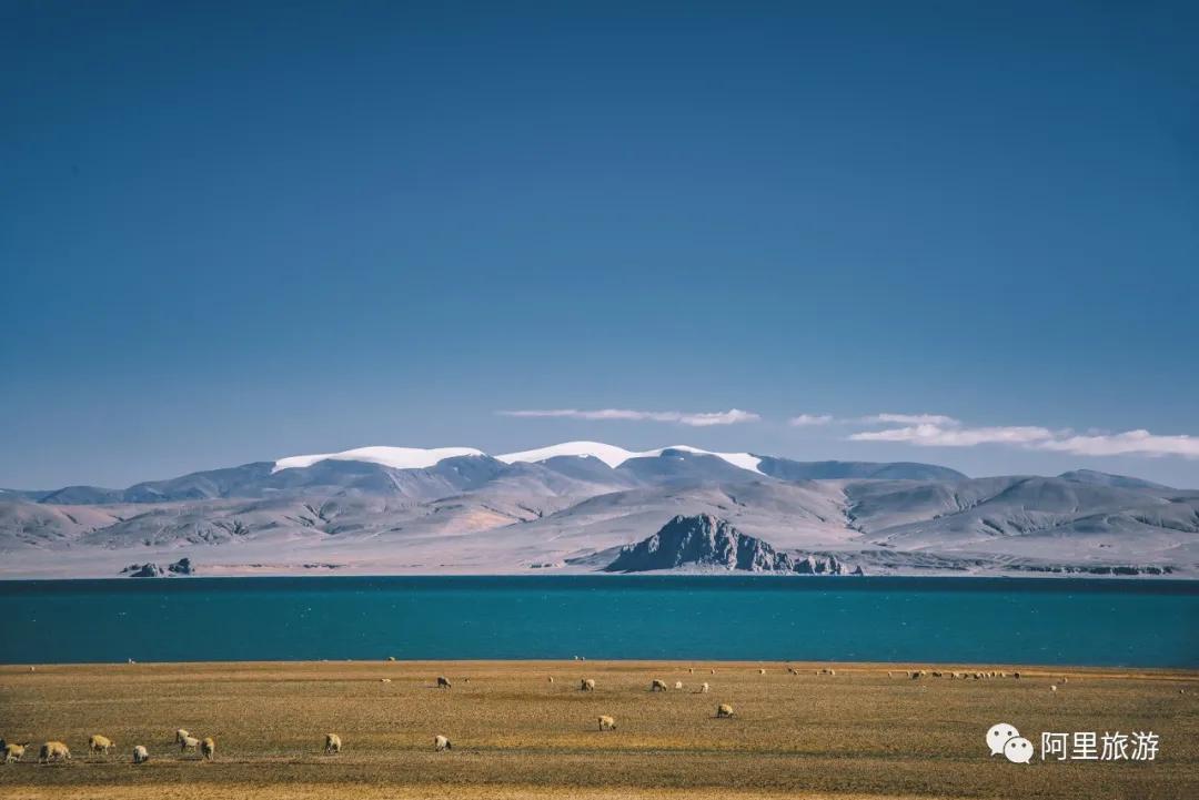 Ali North Line, these lakes are waiting for you to check in - iNEWS