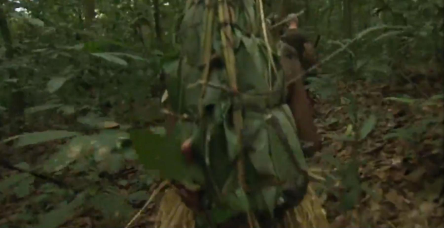 Africans slashed a five-meter giant python with a knife, shot a giant ...