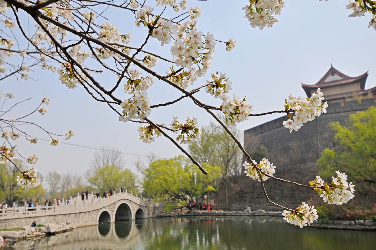 The founding general Chen Zaidao was famous, his son Chen Dongping ...