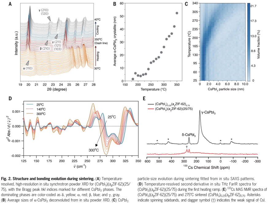 Liquid phase sintering of lead halide perovskite and metal organic ...