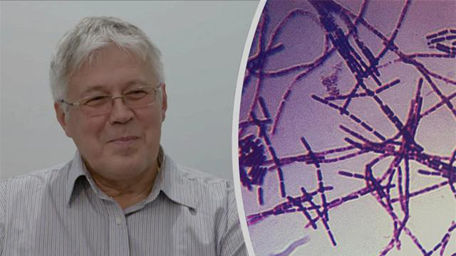 In order to study "immortality", what crazy experiments have the ...