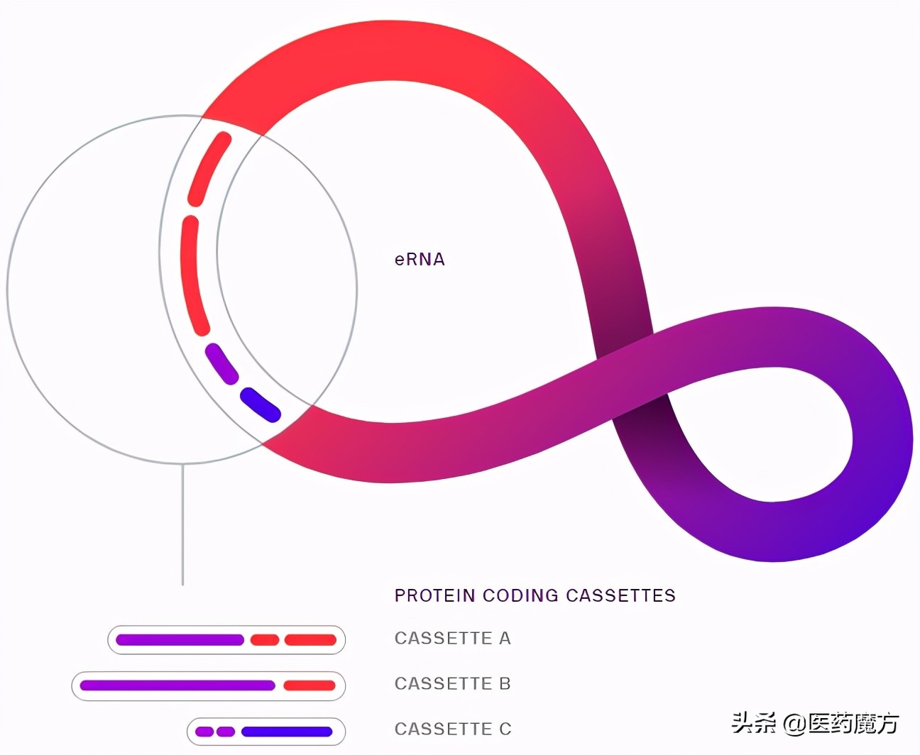 2021H1 Global RNA Therapy Investment Report: New technologies are ...