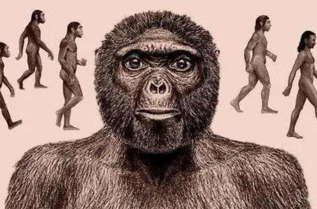 There is no one on the earth, where did humanity come from?Is the first ...