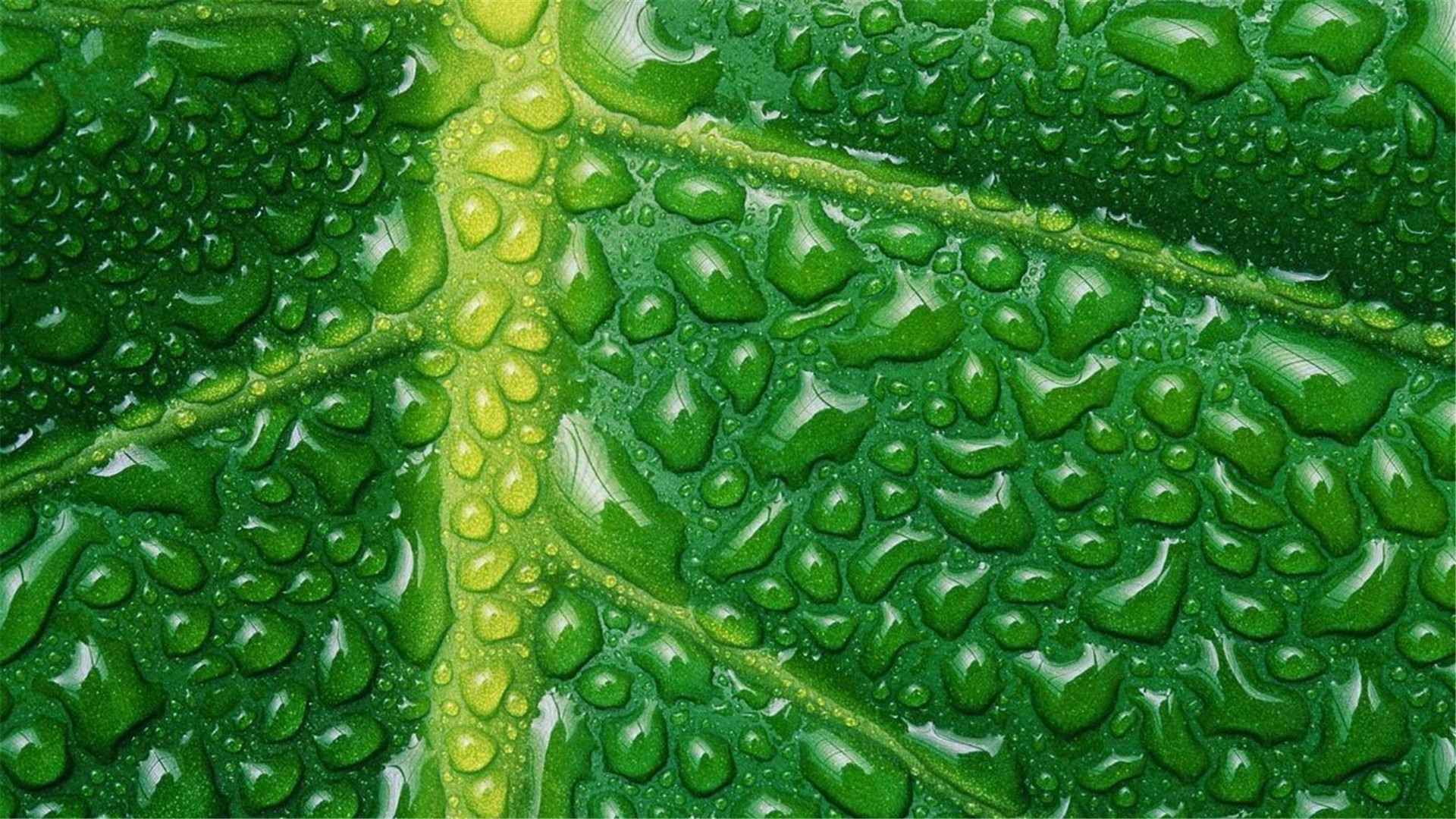 82 eye protection computer desktop wallpapers, super super complete ...