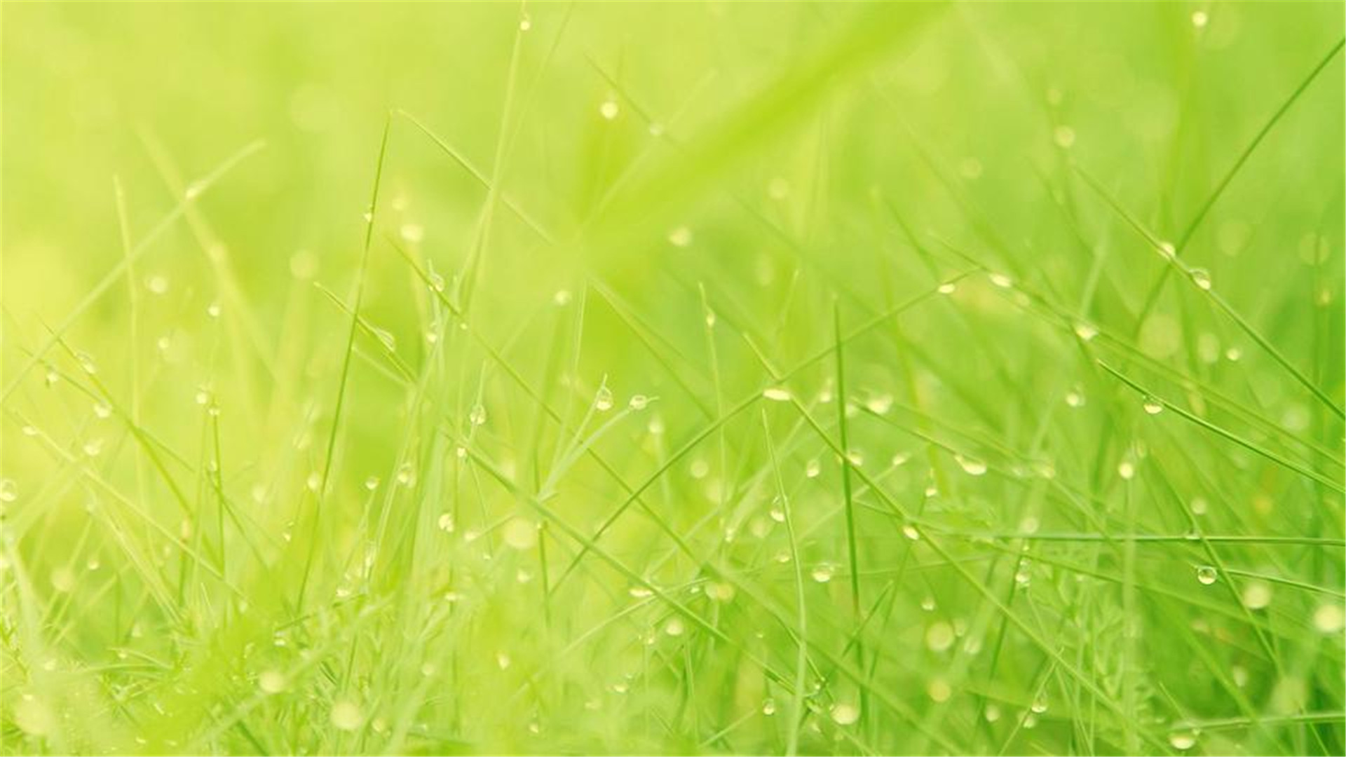 82 eye protection computer desktop wallpapers, super super complete ...