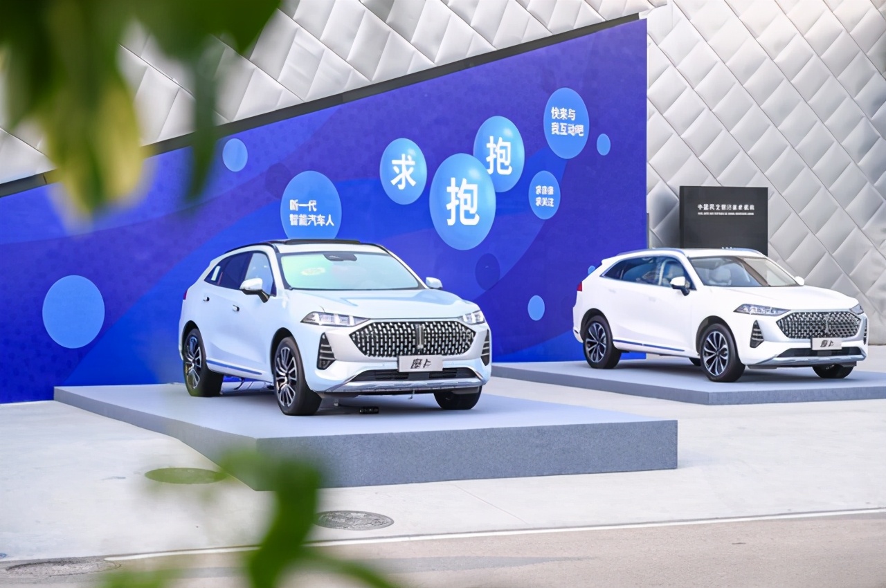 The standard configuration is a bit extravagant!Which version of WEY ...