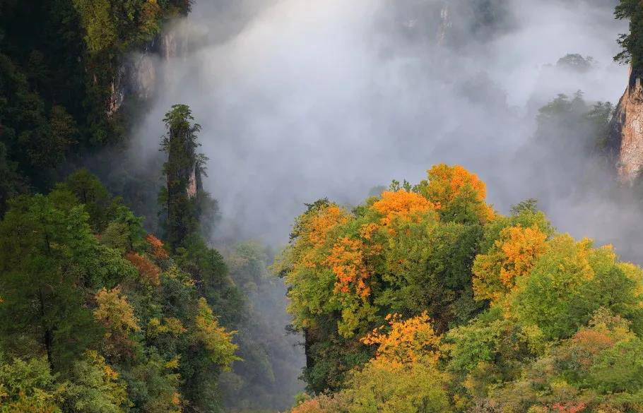 Nanjiang, Sichuan: The autumn scenery of Guangwu Mountain is poetic and ...