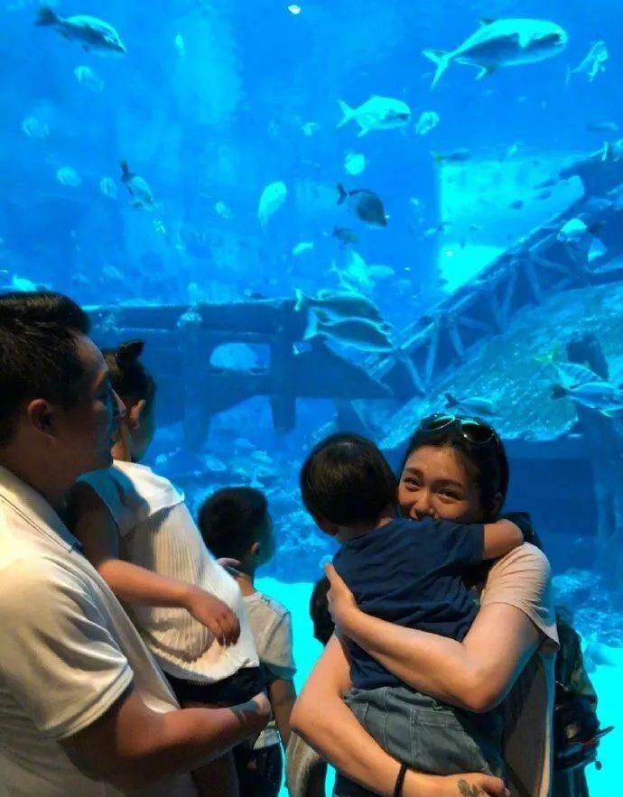 The inside story of Wang Xiaofei's divorce?Feng Shaofeng drags Zhao ...