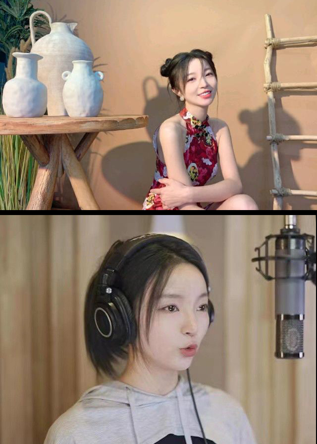 The subversive cover of "The Son-in-law" caused an uproar. What did Xiao Pan Pan do wrong? - iNEWS