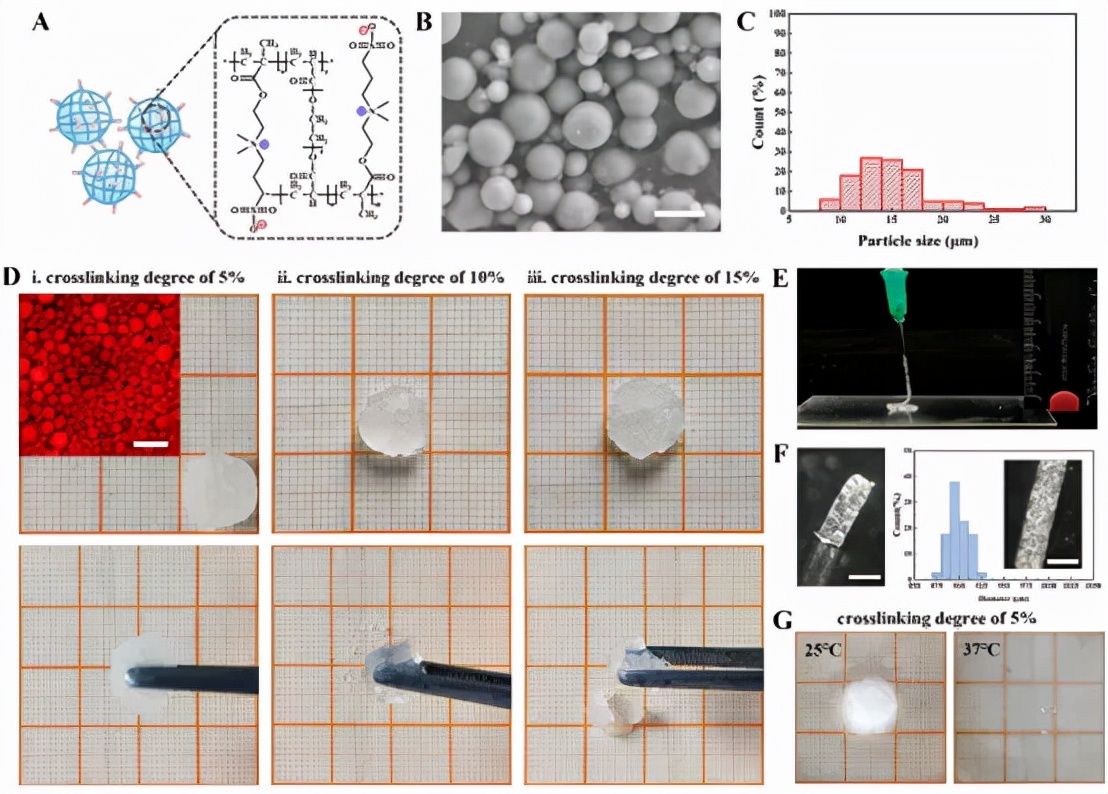 3D bioprinted "all-in-one" zwitterionic particle hydrogel bio-ink - iNEWS