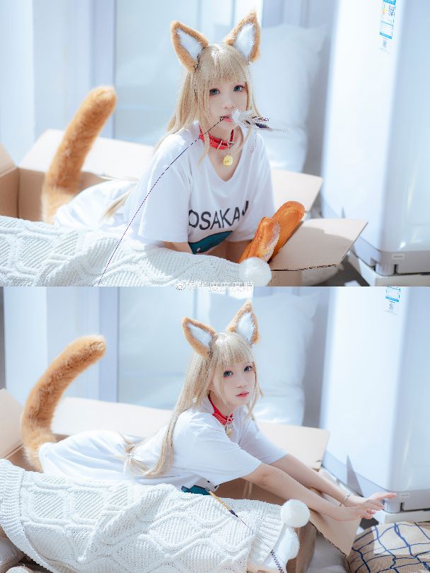 cosplay/cat personification/cat girl - iNEWS