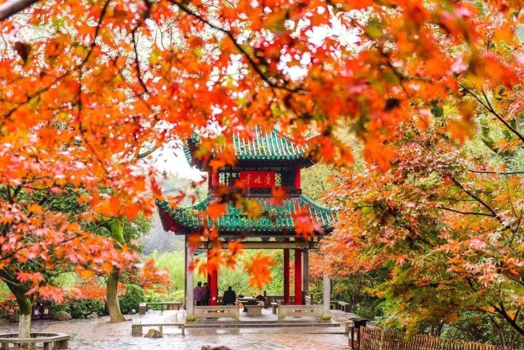 Four famous pavilions in China, which one have you been to - iNEWS