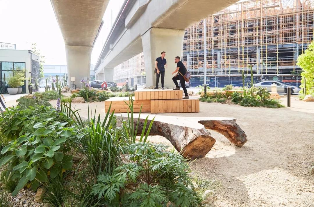 Activate the space under the bridge, doesn't it smell good? - iNEWS