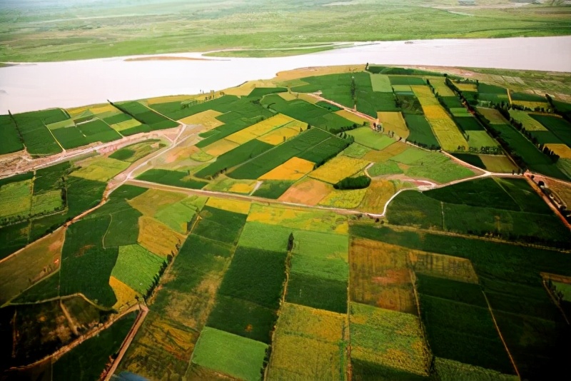 Learn about the top life of the Yellow River, what kind of secrets ...