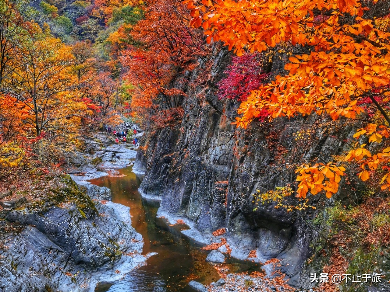 During the golden autumn tourist season, this small city in Northeast ...