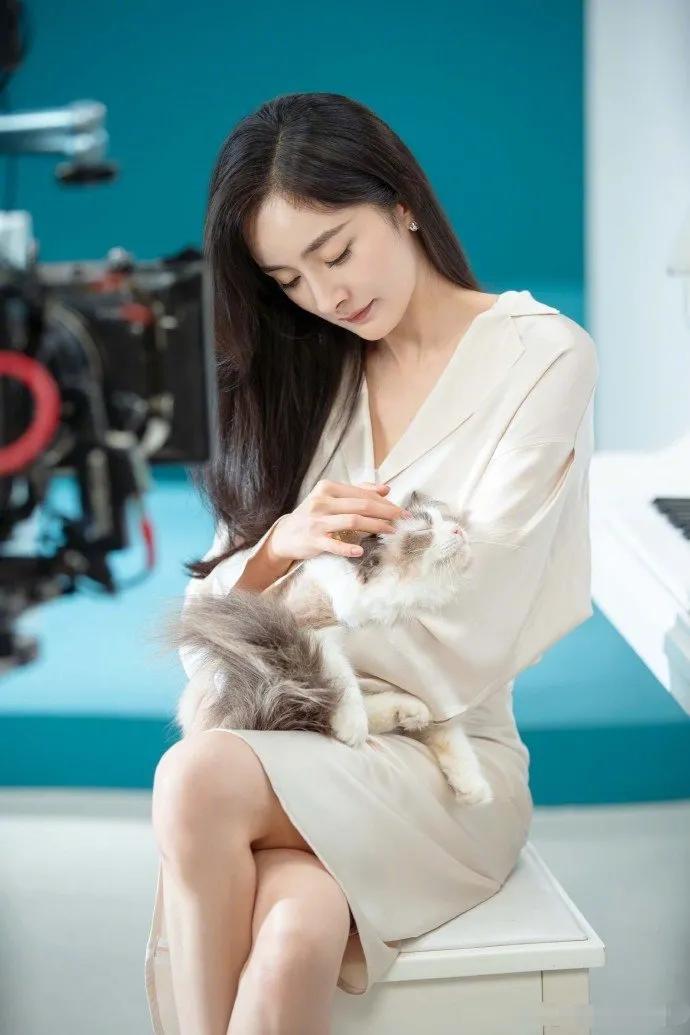 Xiao Zhan Yang Mi Yang Yang Gong Jun Jay Chou Ren Jialun Li Qin Zhang Binbin Zhang Yunlong Wu ...