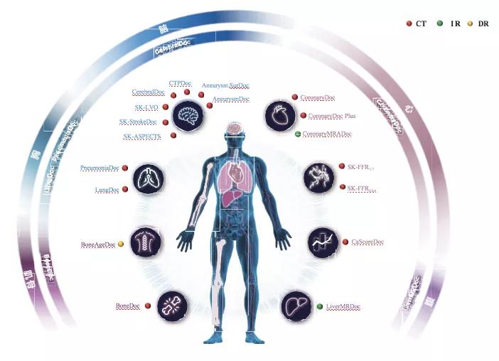 Medical AI "mom-and-pop shop" Shukun Technology went to Hong Kong for ...