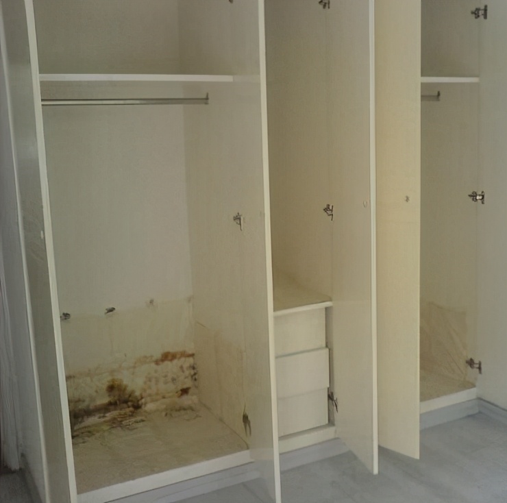 What should I do if the wardrobe is moldy and breeds bacteria? Super ...