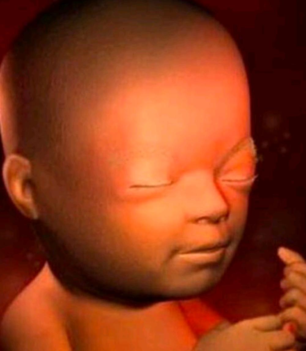 Why should baby's lanugo be preserved?Mother should know the related ...