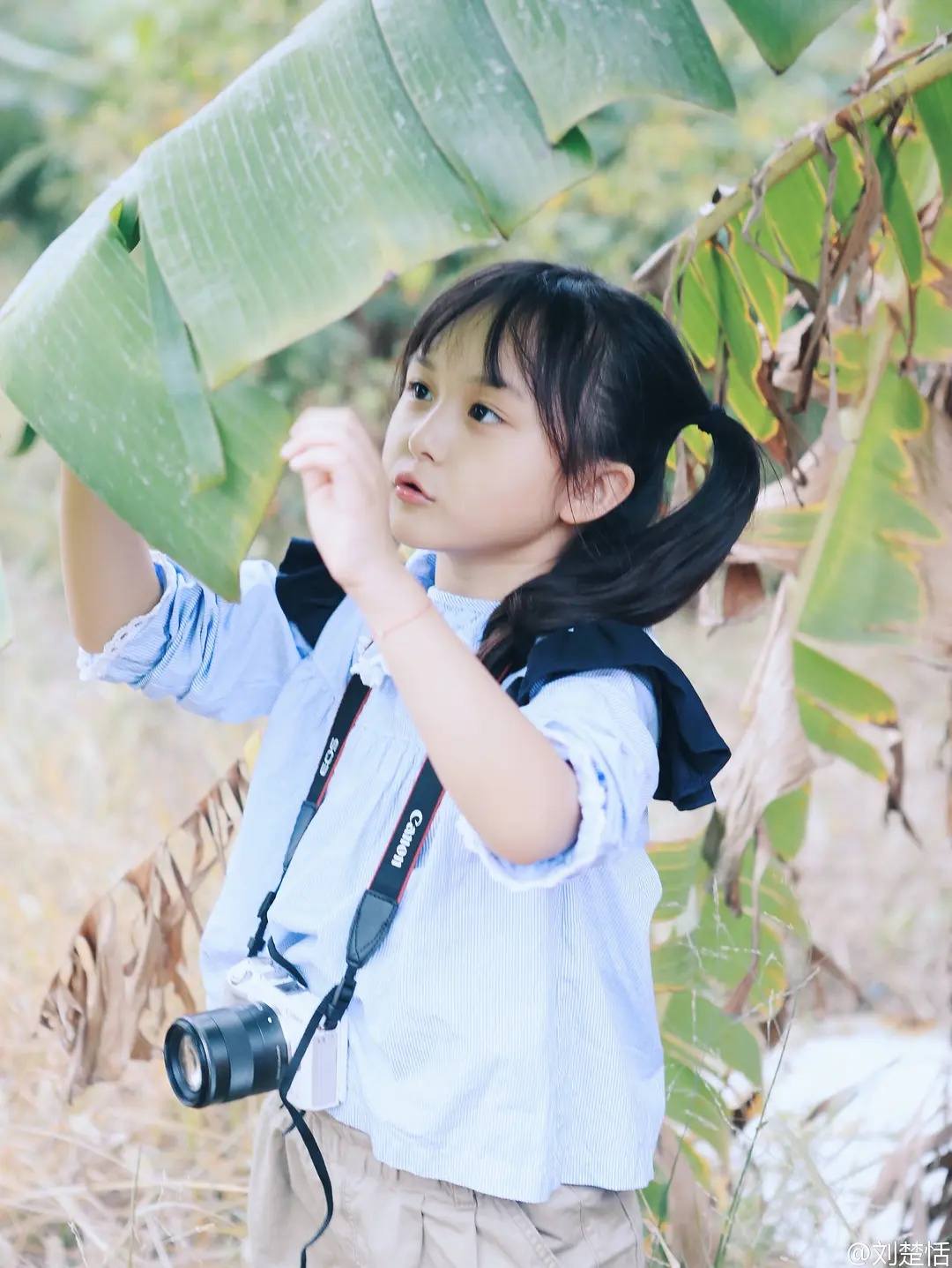 "Xia Huanhuan" Liu Chutian's child star became famous, and her ...