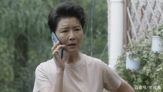 Little willing: Why did Zhao Na choose to forgive Nan Jianlong and Cai ...