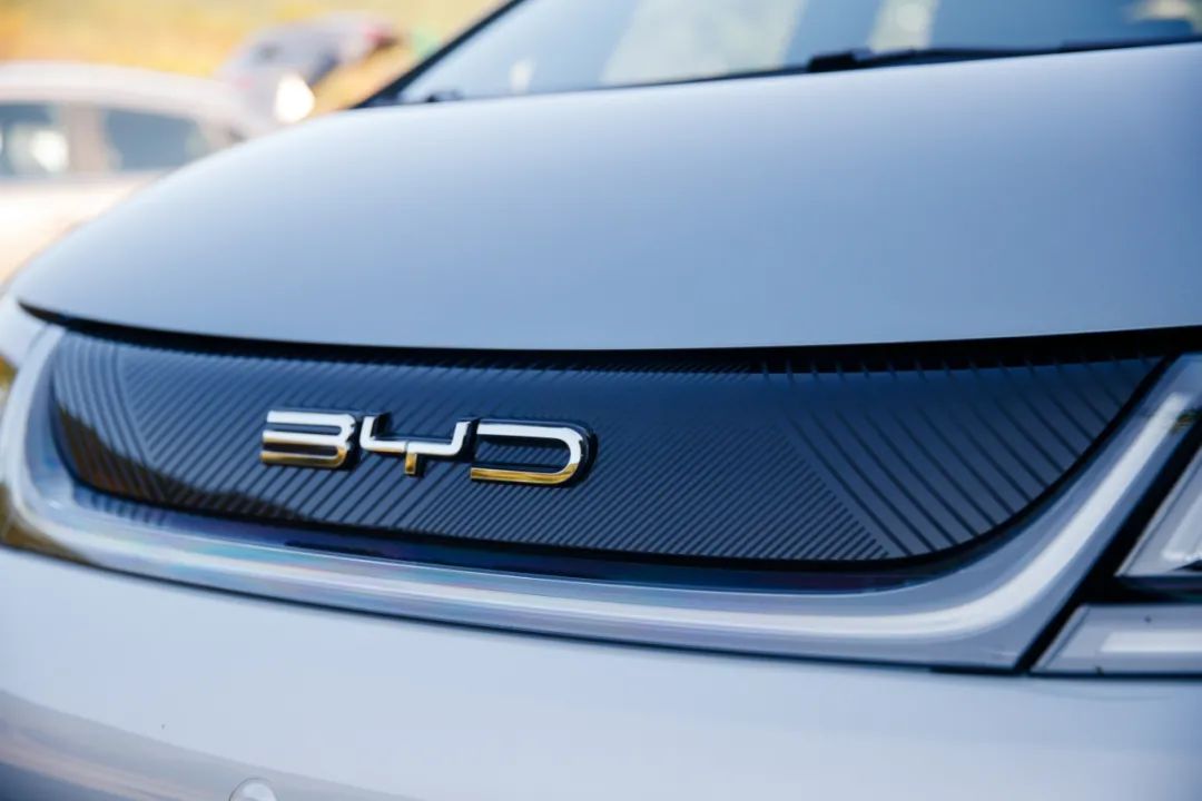 Test drive the BYD Dolphin designed by ocean aesthetics as "smart and ...