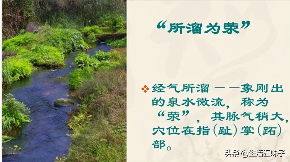 Special acupoints in the twelve zang-fu organs-Wushu acupoints - iNEWS