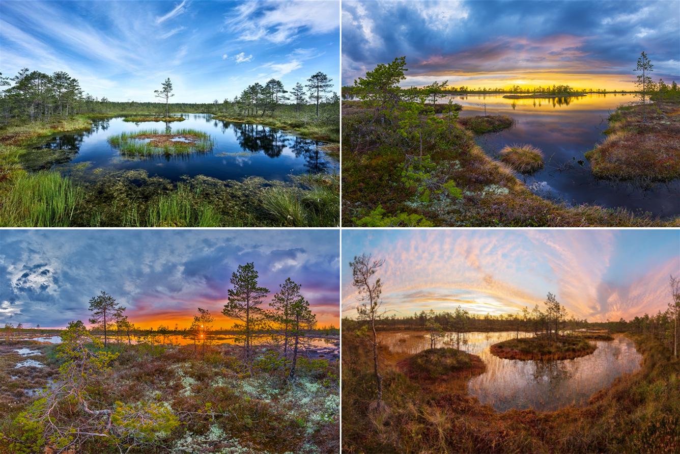 Russia's largest swamp, it turns out that there is such a beautiful ...