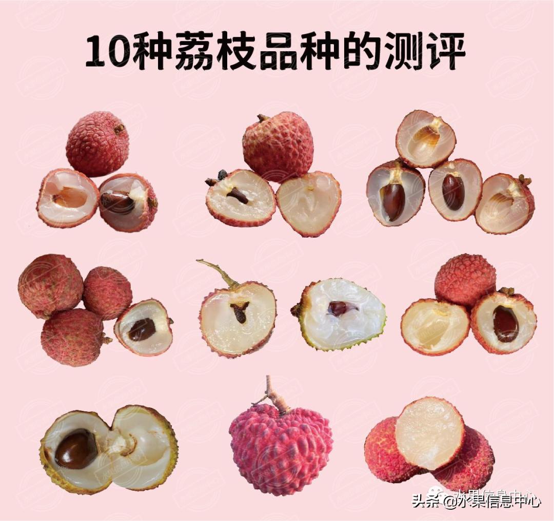 Comparison and evaluation of 10 types of lychees: Guiwei, Nuomi Cong ...