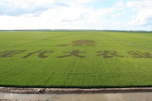 The largest plain in the country, with an area the size of 55 Shanghai ...