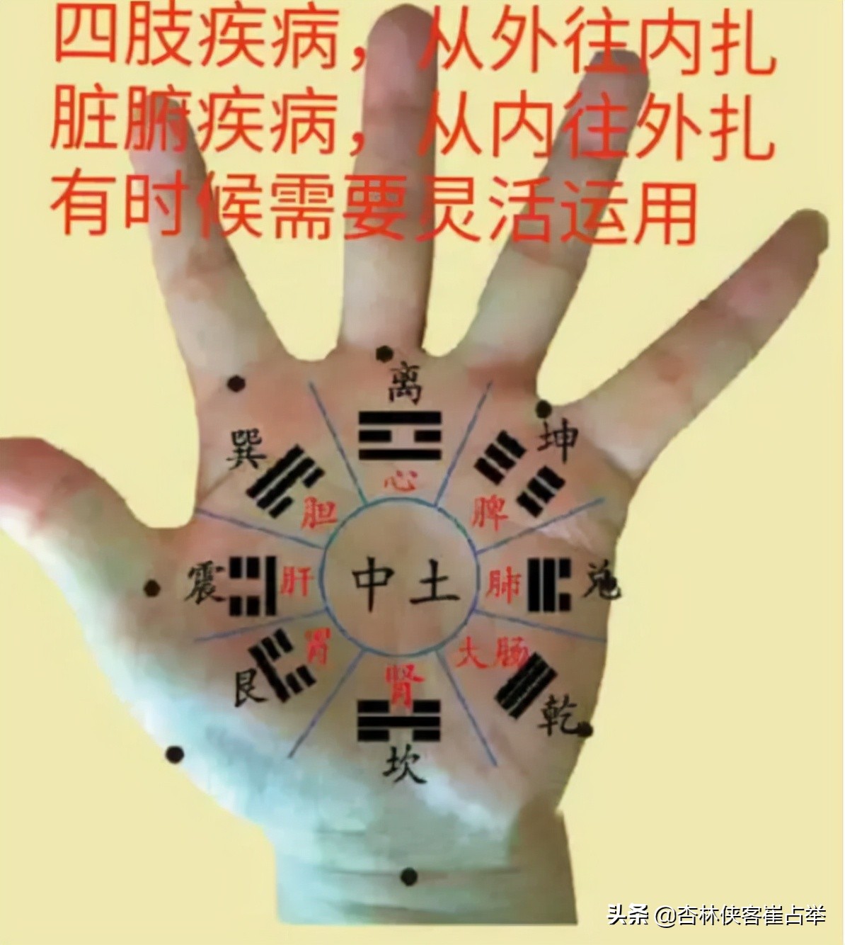 Ziwu Liuzhu-Yinshi, follow the natural laws of the world and protect ...