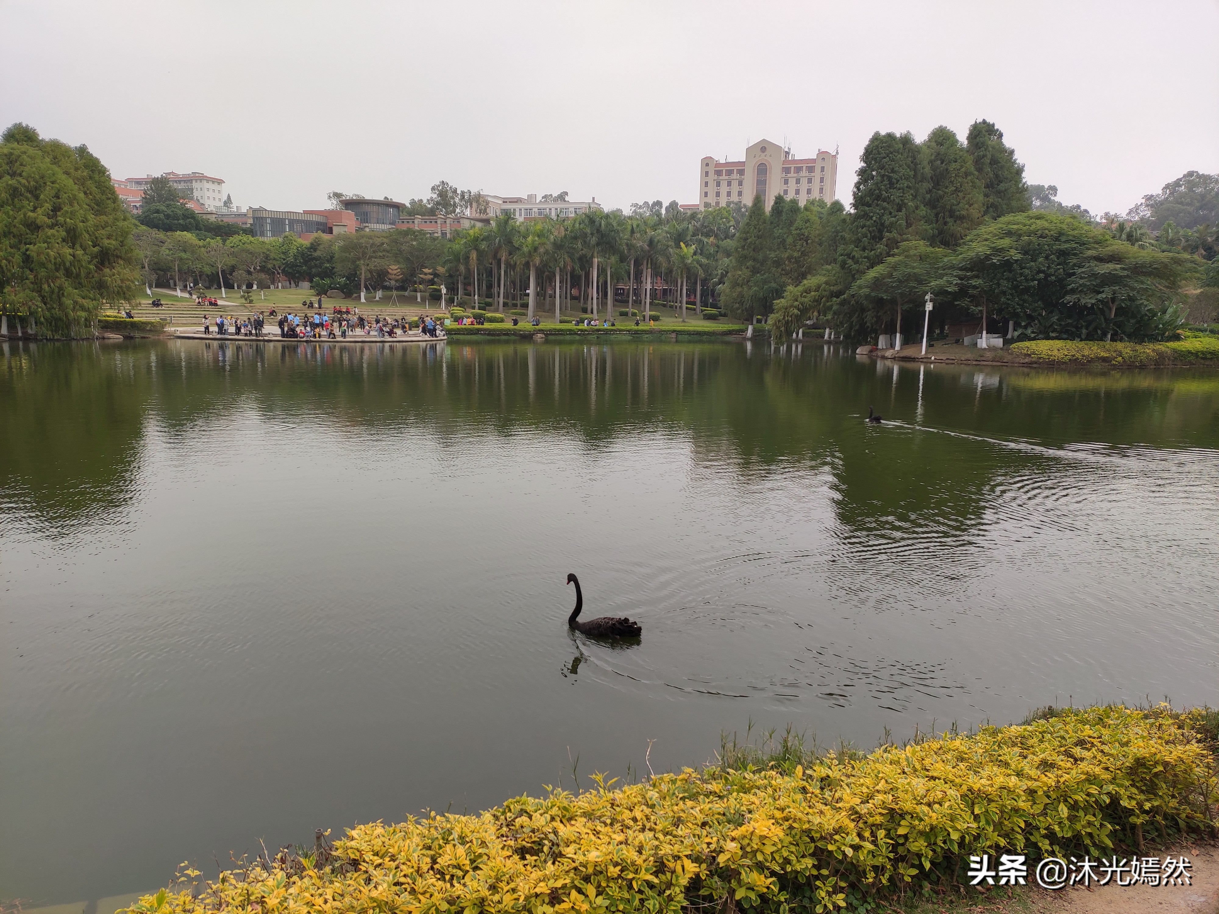 Contrast the Battle of Jieting and the Battle of Shiting in "The ...