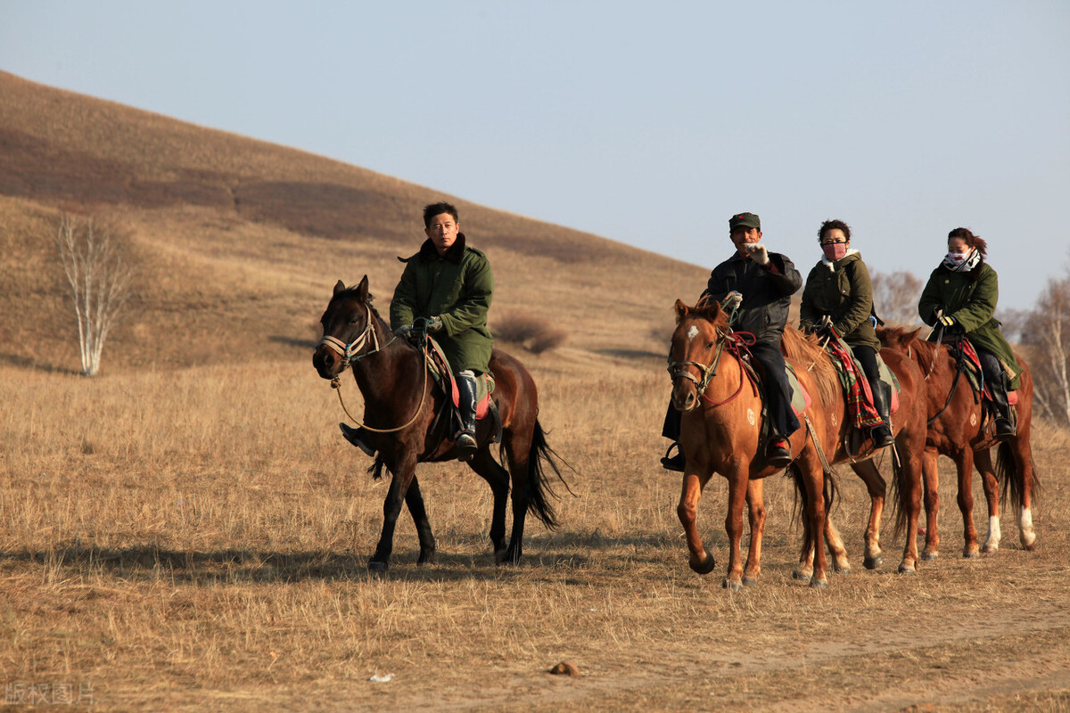 "A lean camel is bigger than a horse", but a million-dollar tall horse ...