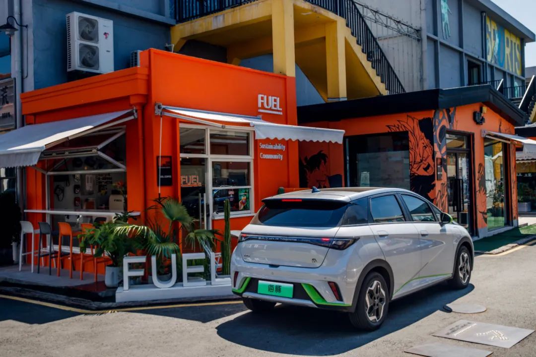 Test drive the BYD Dolphin designed by ocean aesthetics as "smart and ...