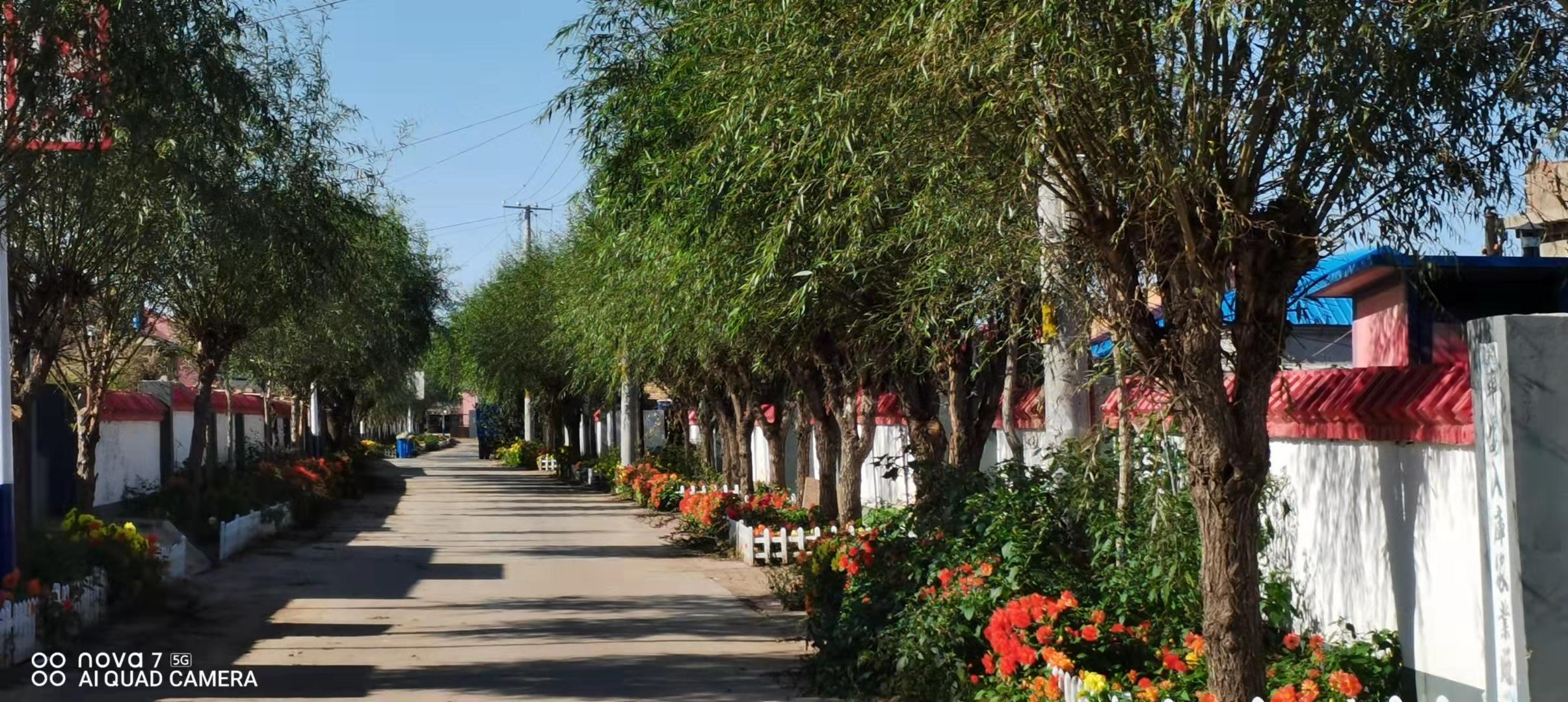 Where is the remote Xiaotun Fever in the autumn countryside? - iNEWS