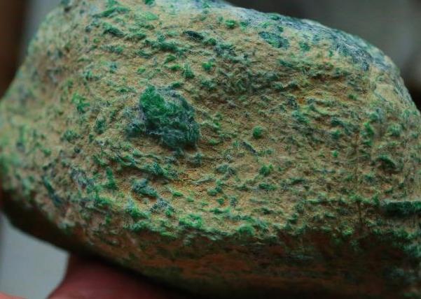 What is the jade pine flower - iNEWS