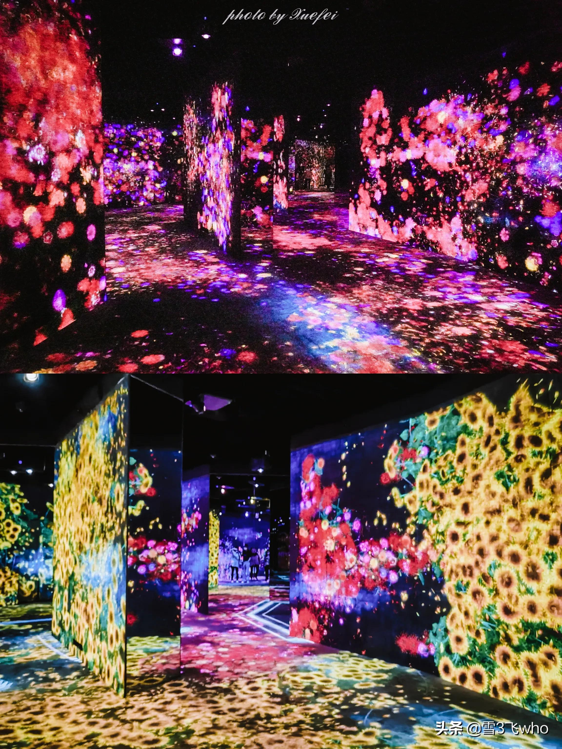 teamLab Unbounded Art Museum - iNEWS